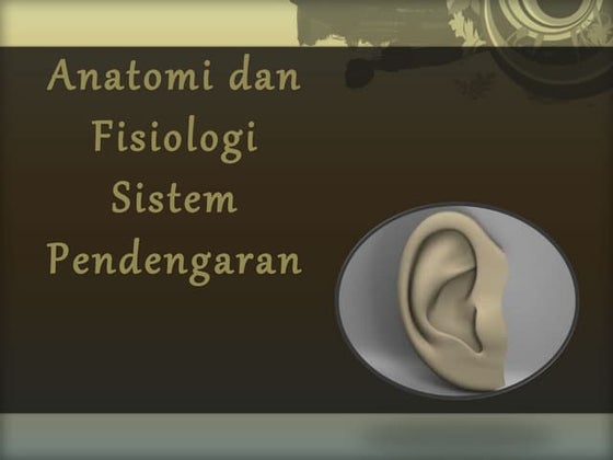 Anatomi Telinga.pptx