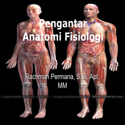 Pengantar Anatomi Fisiologi | PPT