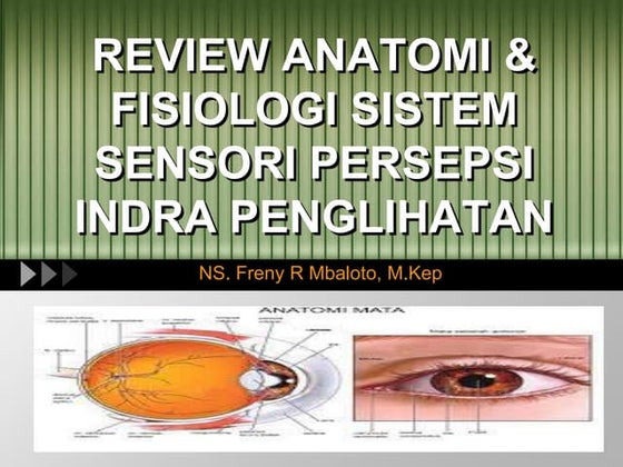 Indra penglihatan (mata) | PPT