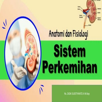 anatomi dan fisiologi sistem perkemihan dan urinaria | PPTX