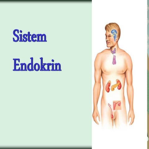 anfis sistem endokrin. PADA MANUSIA DI BUMIpdf | PDF