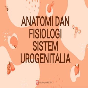 Fisiologi ureter, vesika urinaria, dan uretra | PPTX