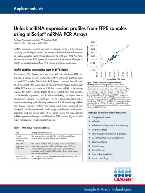 Idiopathic Pulmonary Fibrosis | PPT