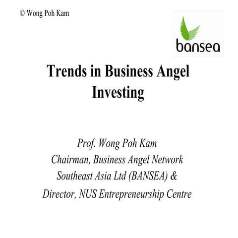 Business Angel Investing | PDF