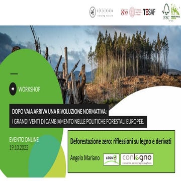 Deforestazione zero: riflessioni su legno e derivati | PPT