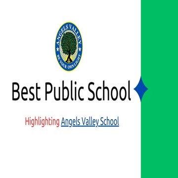 Angels Valley School- Best Public School.pdf