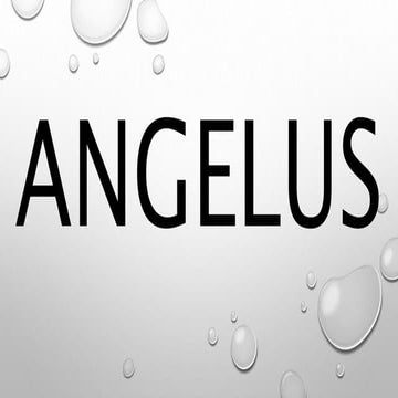 Angelus | PPT