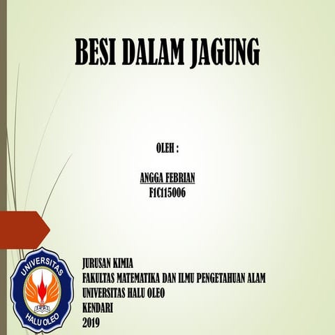 Angga febrian (f1c115006) fe dalam jagung | PDF