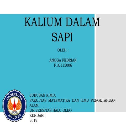 Angga febrian (f1c115006) kalium dalam sapi | PPTX