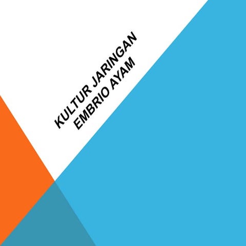 Kultur Jaringan Embrio Ayam | PPT
