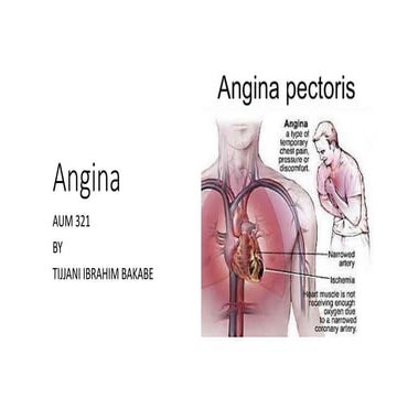 Pharmacology of angina pectoris.pptx 230 | PPTX