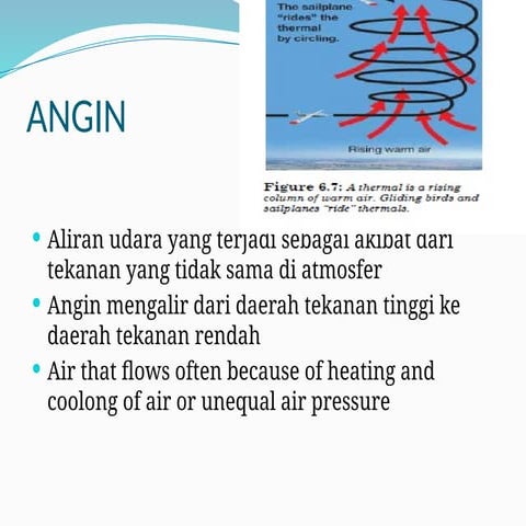 Pergerakan massa udara di atas permukaan bumi membantu menciptakan ...