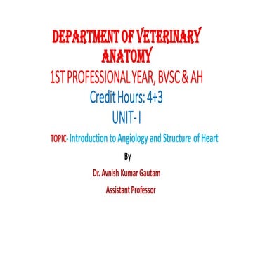 ANGIOLOGY (1).pdf angiology myology and the view of a good | PDF ...