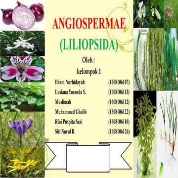 Tumbuhan ANGIOSPERMAE Divisi Liliopsida. | PPTX