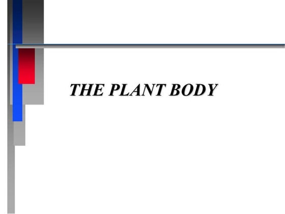 Xylem and phloem lesson 2 | PPT