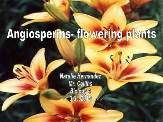 Amazing Sperm Plants | PPT