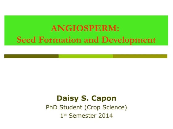 Microsporogenesis | PDF | Gardening | Home & Garden