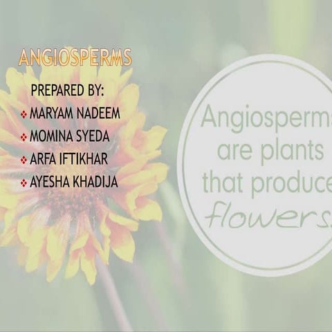ANGIOSPERMS.pptx