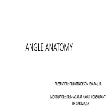 ANGLE ANATOMY | PPTX