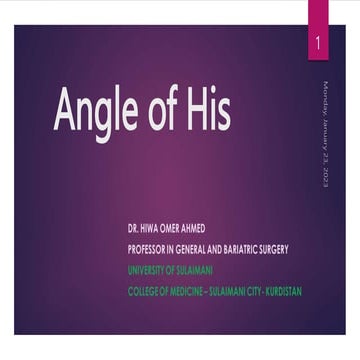 angle of His.pptx