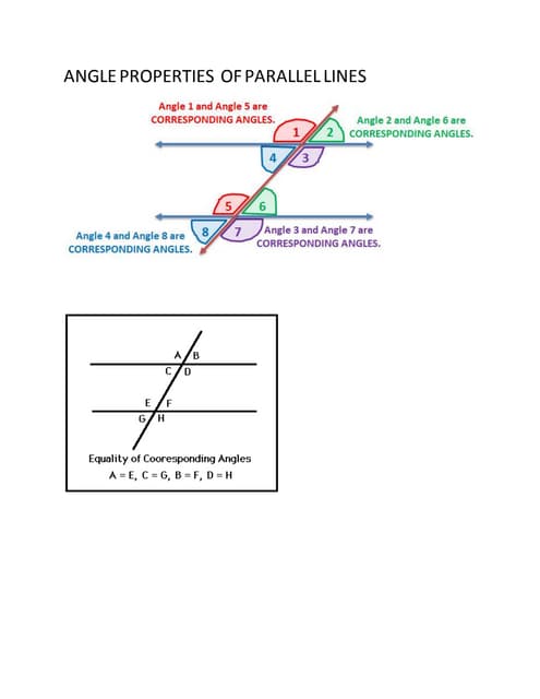 Parallel Lines Angles | PPTX | Physics | Science
