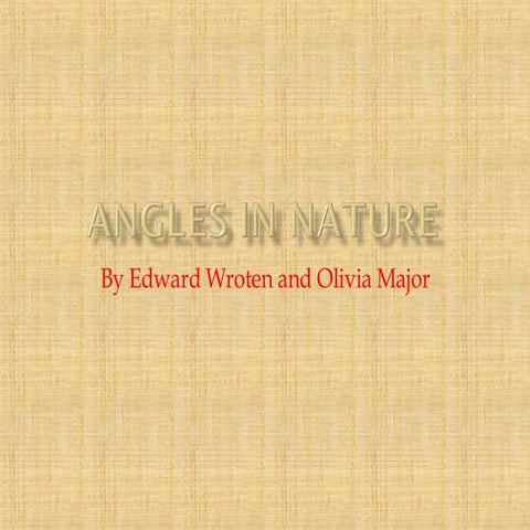 Angles In Nature 2 | PPT