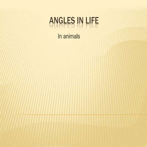 Angles In Life | PPTX