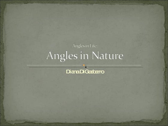 Angles And Life | PPT | Geography | Science