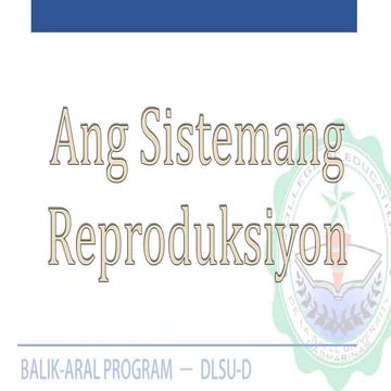 Reproductive System | PPT
