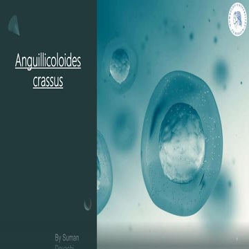 Anguillicoloides crassus | PPTX