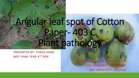 Plant disease epidemiology.pdf | Diseases and Conditions | Medical Health