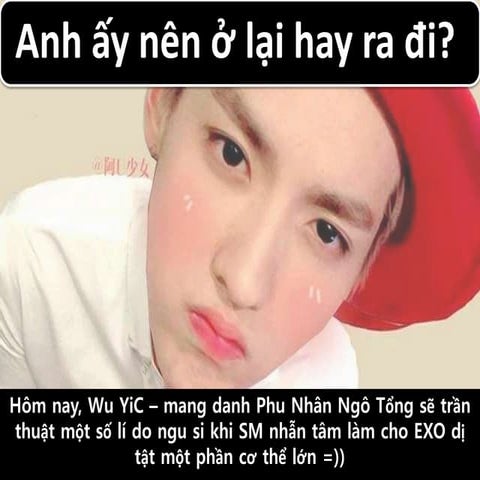 Wu Fan | PPT