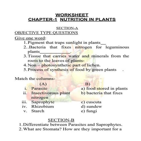 NUTRITION IN PLANTS | PDF