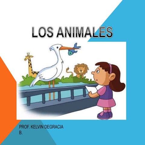 Animals | PPTX