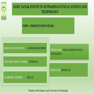 Fermentation Of Idli Pdf
