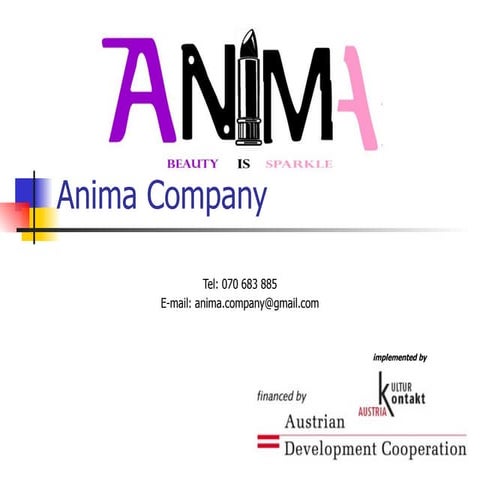 Anima Company2 | PPT | Email | Internet