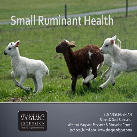 Small Ruminant Health | PPTX