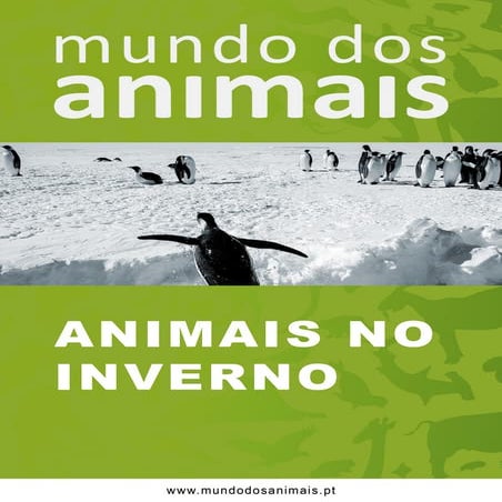 Animais no Inverno | PDF