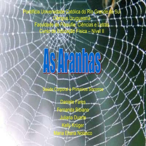 Animais Peçonhentos - Aranhas.ppt