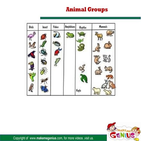 Animals | PPT