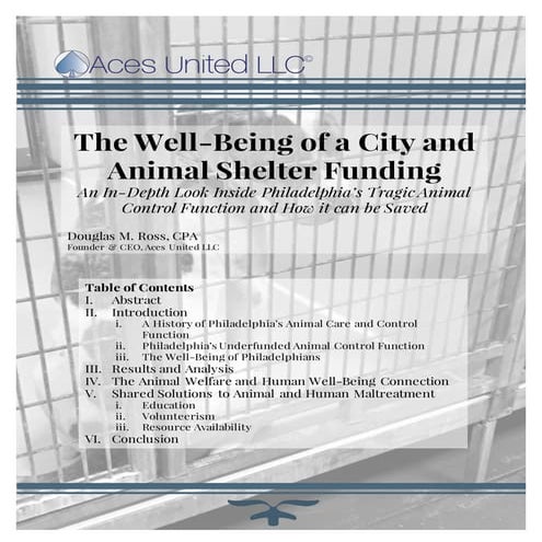 The Well-Being of a City and Animal Shelter Funding: An In-Depth Look ...