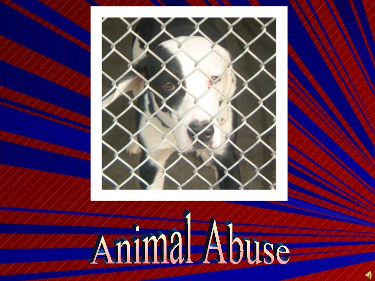 animal-abuse