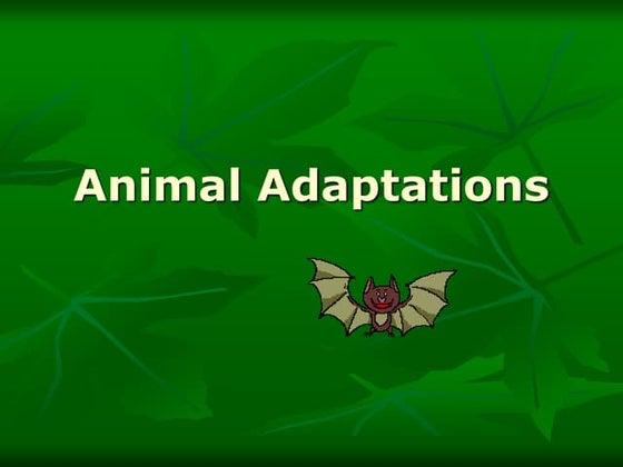Animal adaptations introduction | PPTX | Reptiles | Pets