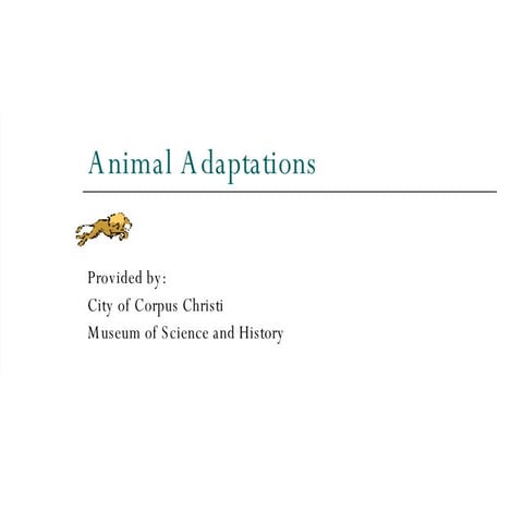 Animal Adaptations | PPT