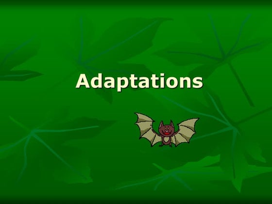 Animal Adaptations II animal adaptation.pptx