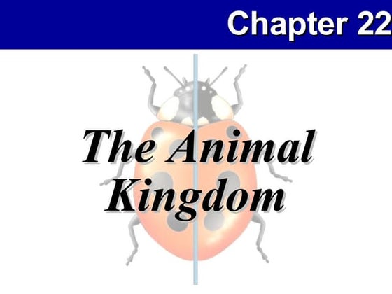 Ammoceate larva | PPT