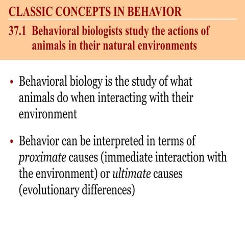animal-behavior-PowerPoint.ppt
