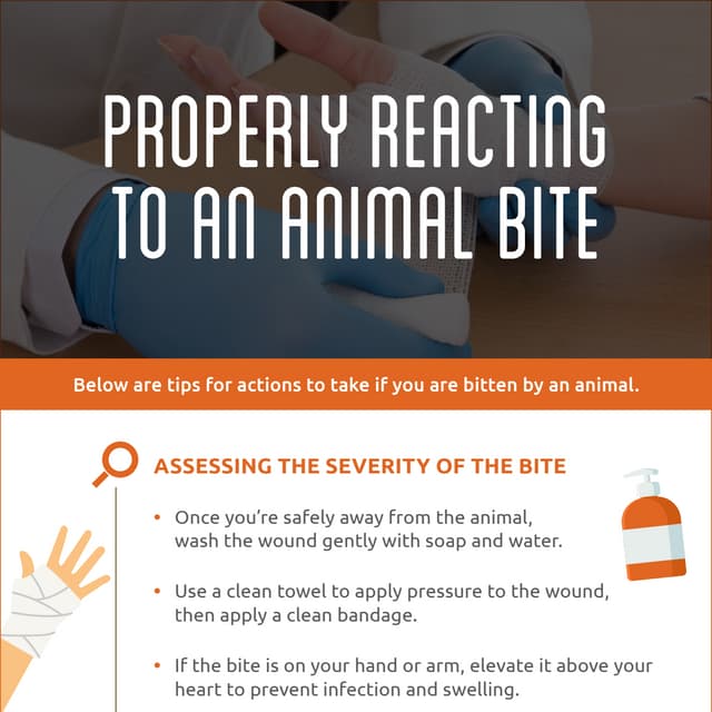 Animal bite | PDF