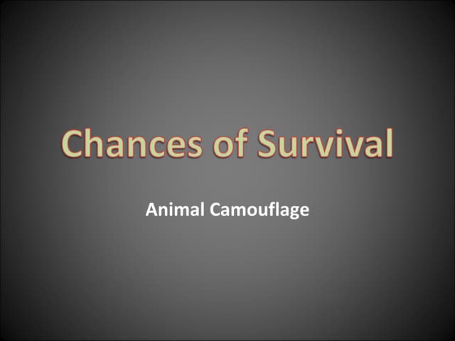 Camouflage and Mimicry | PPTX