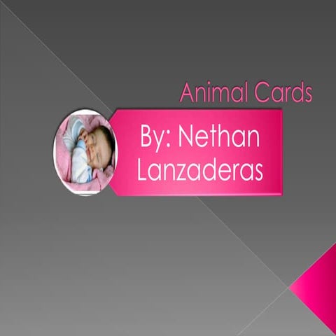 Science K2 Animals.pptxScience K2 Animals.pptx